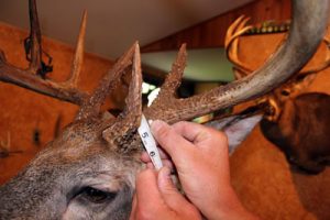 How To Score A Buck – Shootingtime.com